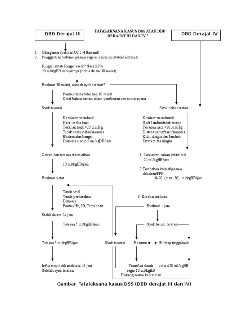 Tatalaksana Kasus Dss Atau DBD | PDF