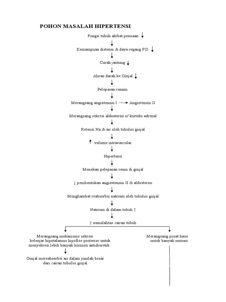 Pathway HT Gerontik | PDF