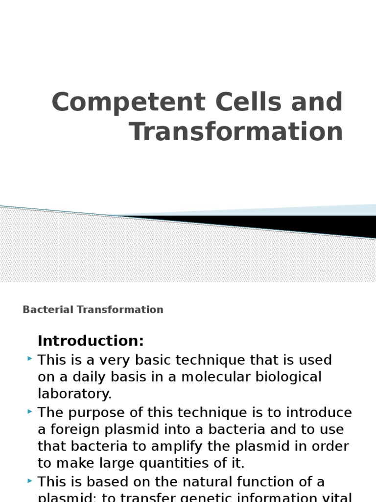 Competent Cells and Transformation | PDF | Plasmid | Molecular Cloning