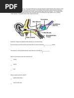 Label Parts of The Ear and Sequence Steps in Hearing Sound (Worksheet ...