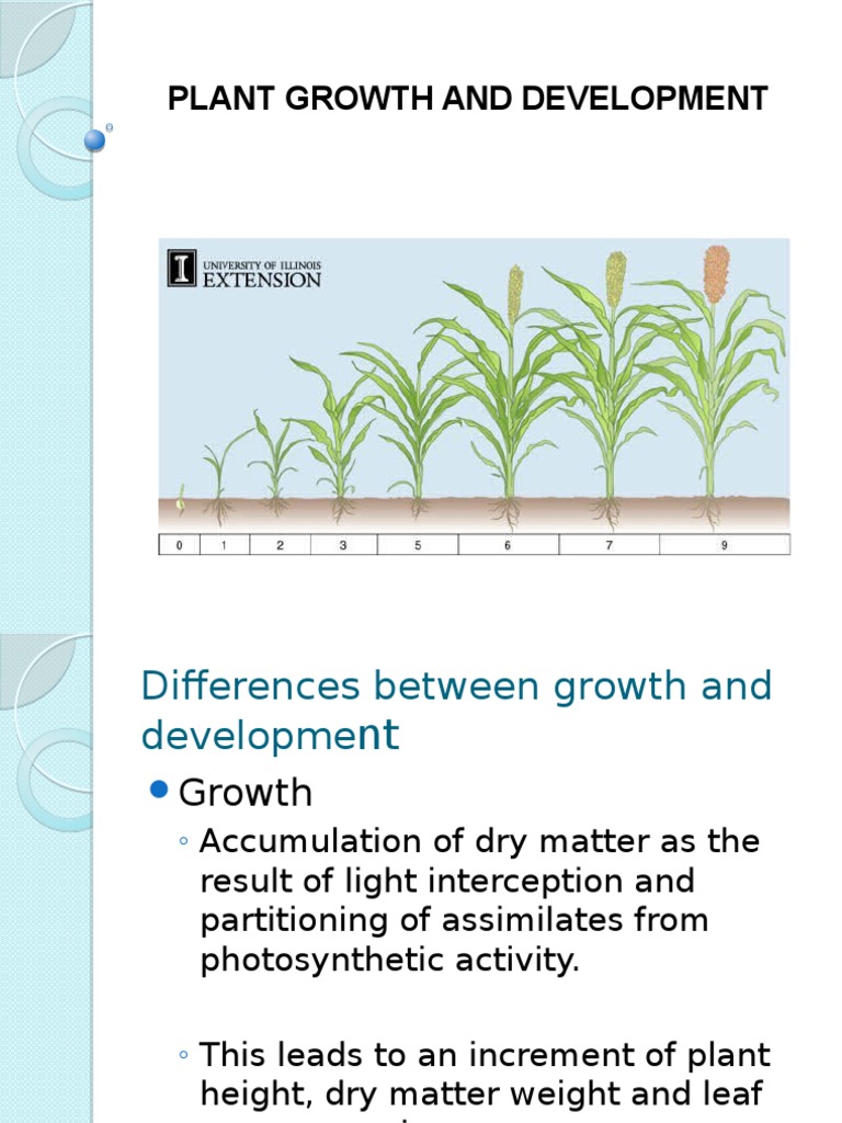 Plant Growth and Development 2016 | PDF | Seedling | Flowers