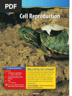 Mitosis and The Cell Cycle - Cell Division - AQA - GCSE Biology (Single ...