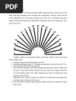 Tes Seidel & Flurosein | PDF