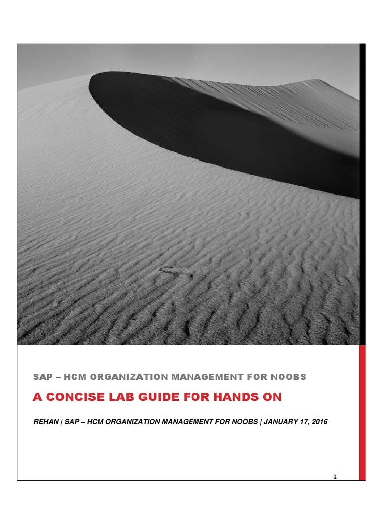 Sap HCM Organization Management Manual | PDF | Double Click | Perception