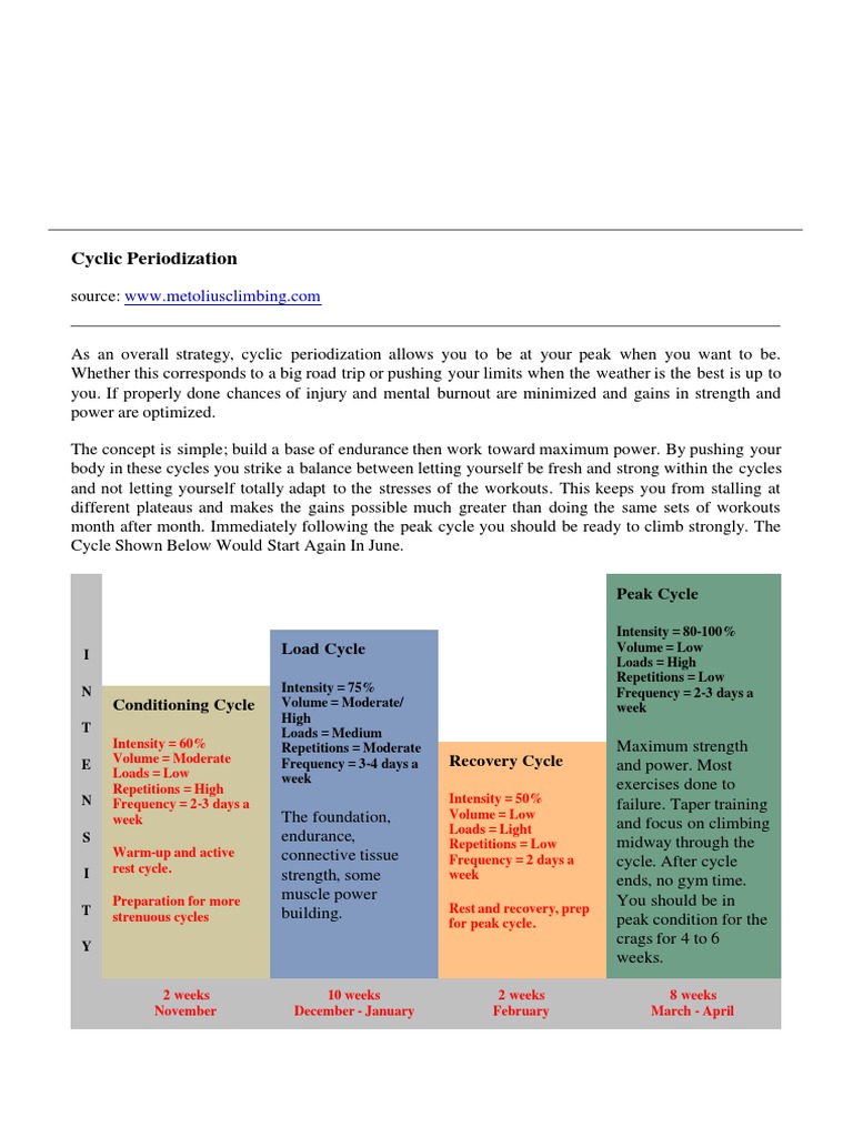 Periodization PDF | PDF | Physical Exercise | Self Care