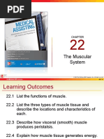 Manual Muscle Test For Upper Limb Muscles | PDF | Anatomical Terms Of ...