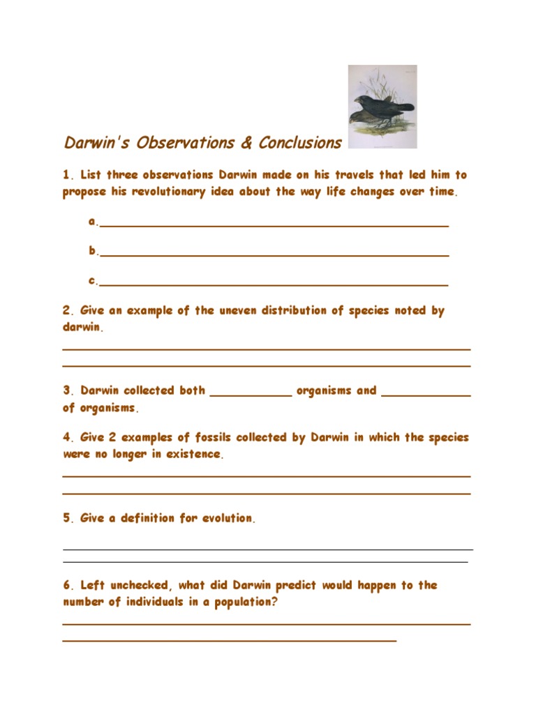 Darwin S Natural Selection Worksheet | PDF
