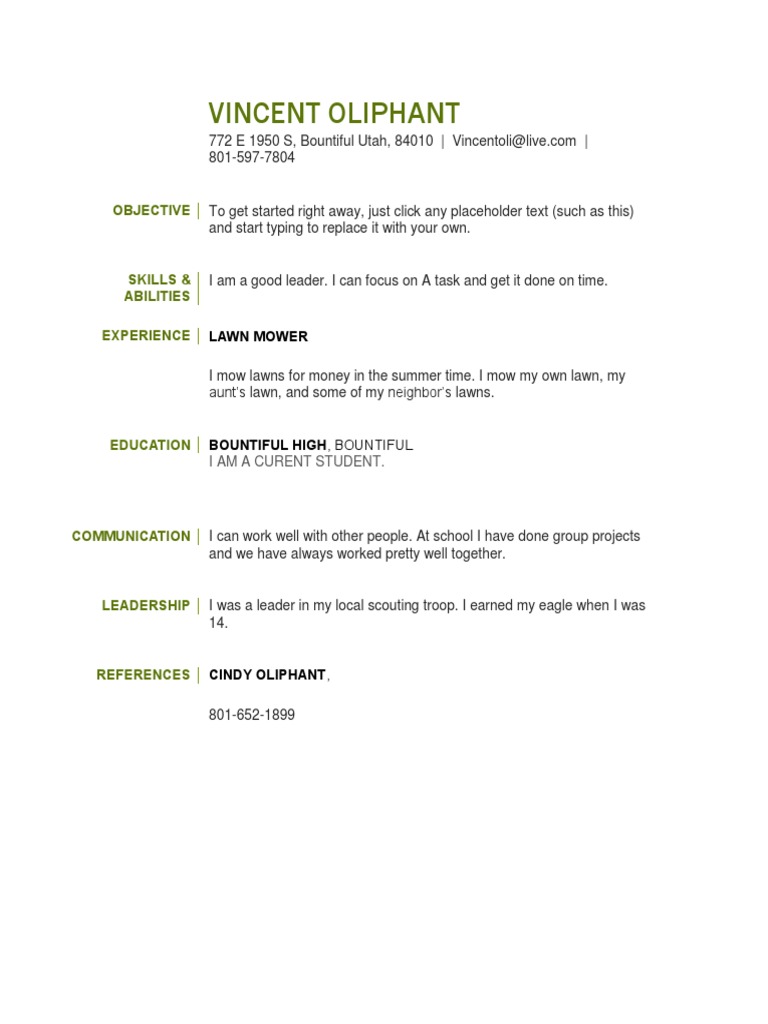 Vincent Oliphant: Objective | PDF | Outdoor Recreation Organizations ...