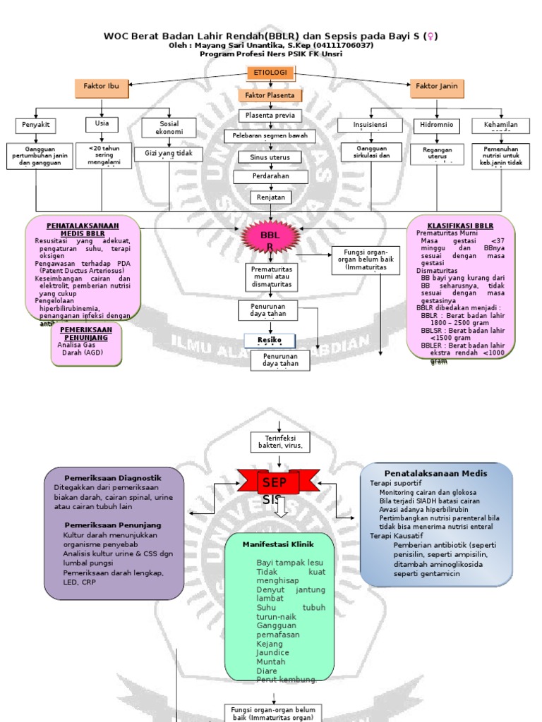 LP Woc BBLR & Sepsis | PDF