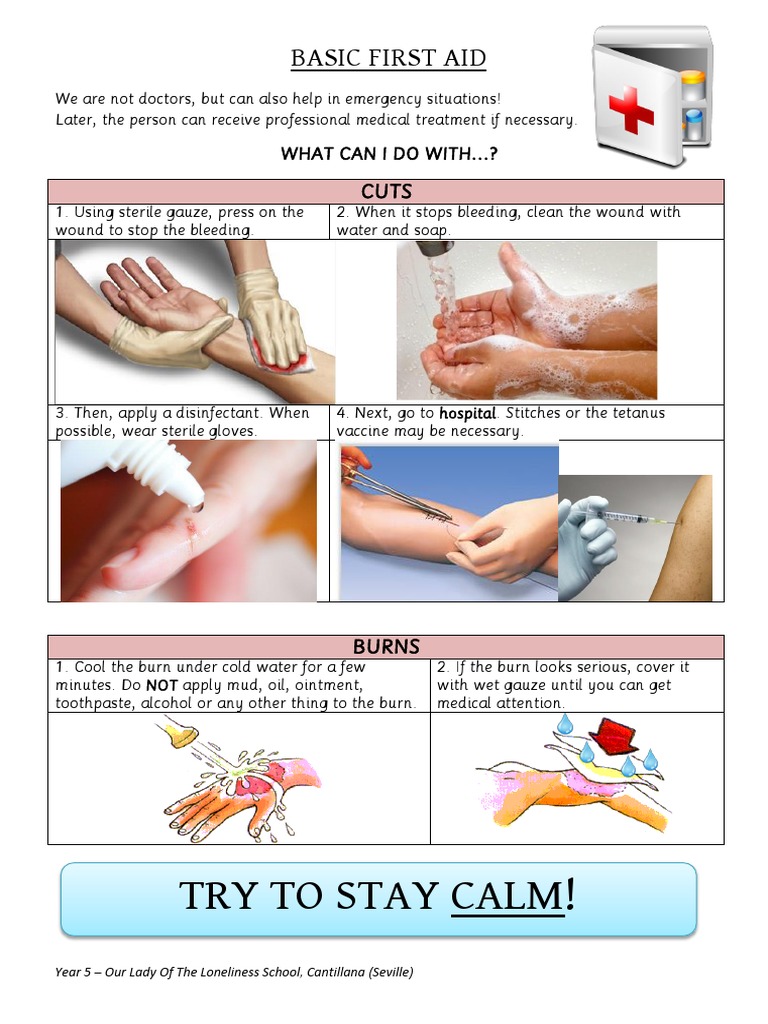 Basic First Aid (Worksheet) | PDF