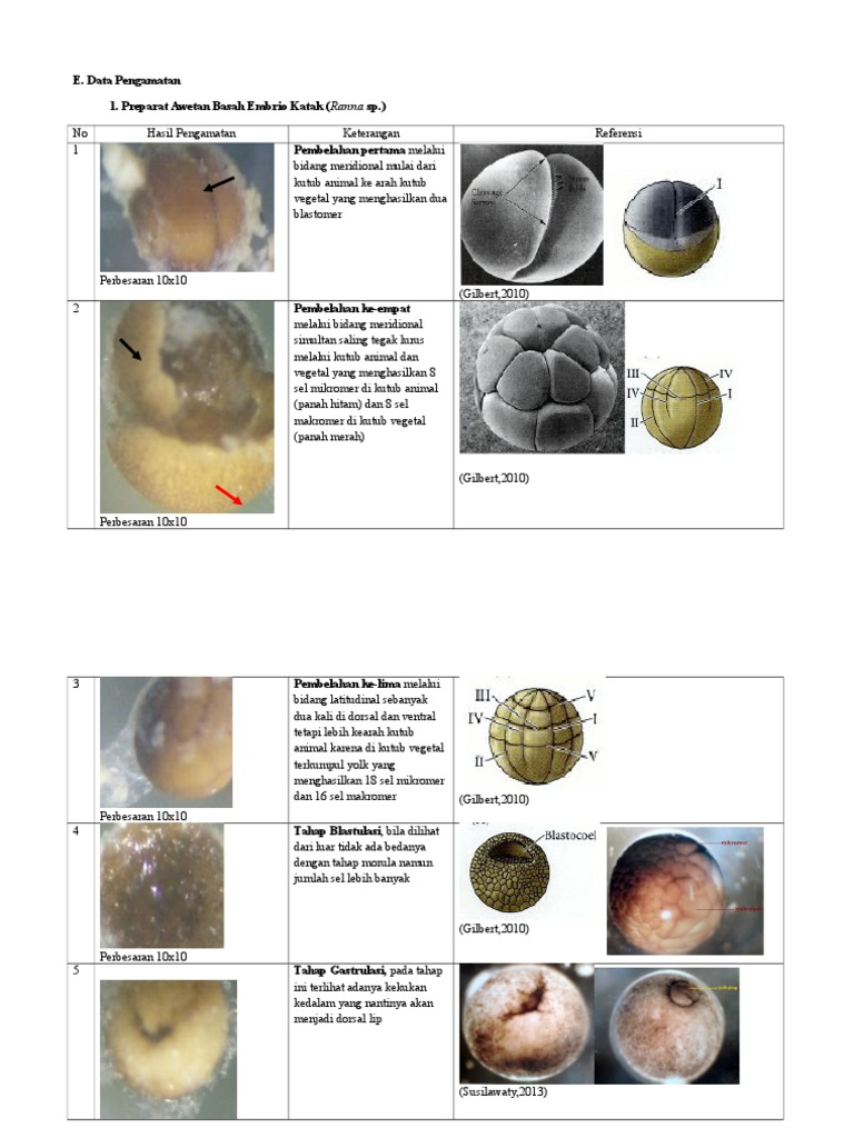 Data Pengamatan Embrio Katak | PDF
