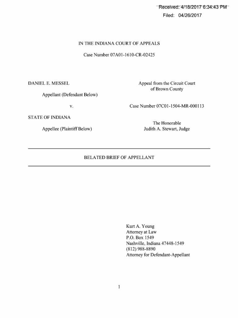 Daniel Messel Appeal | PDF | Brief (Law) | Plea