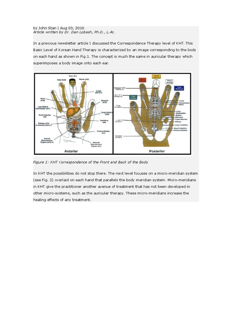 KHT Korean Hand Therapy | PDF | Acupuncture | Holography