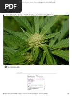 Liquefied Gas Conversion Chart | PDF | Chlorine | Chemical Process ...