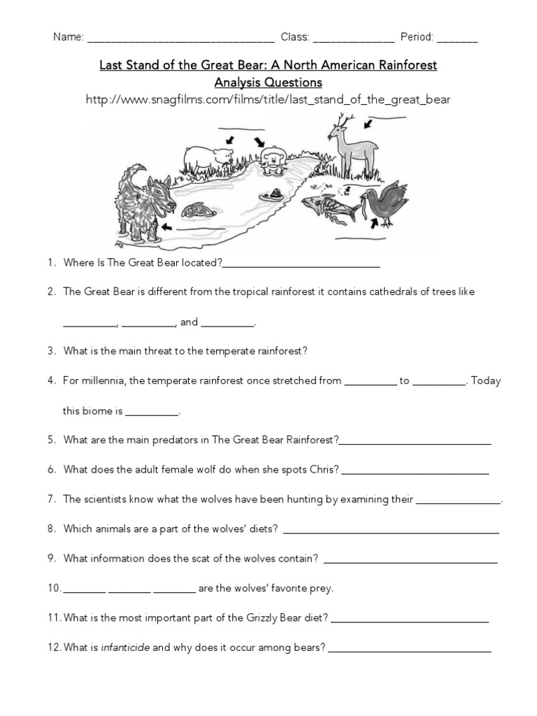 Great Bear Rainforest Analysis Questions | PDF | Bears | Salmon