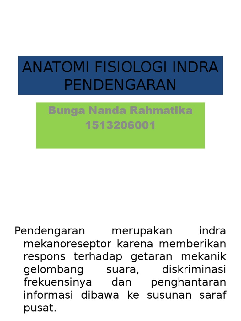 Anatomi Fisiologi Indra Pendengaran | PDF