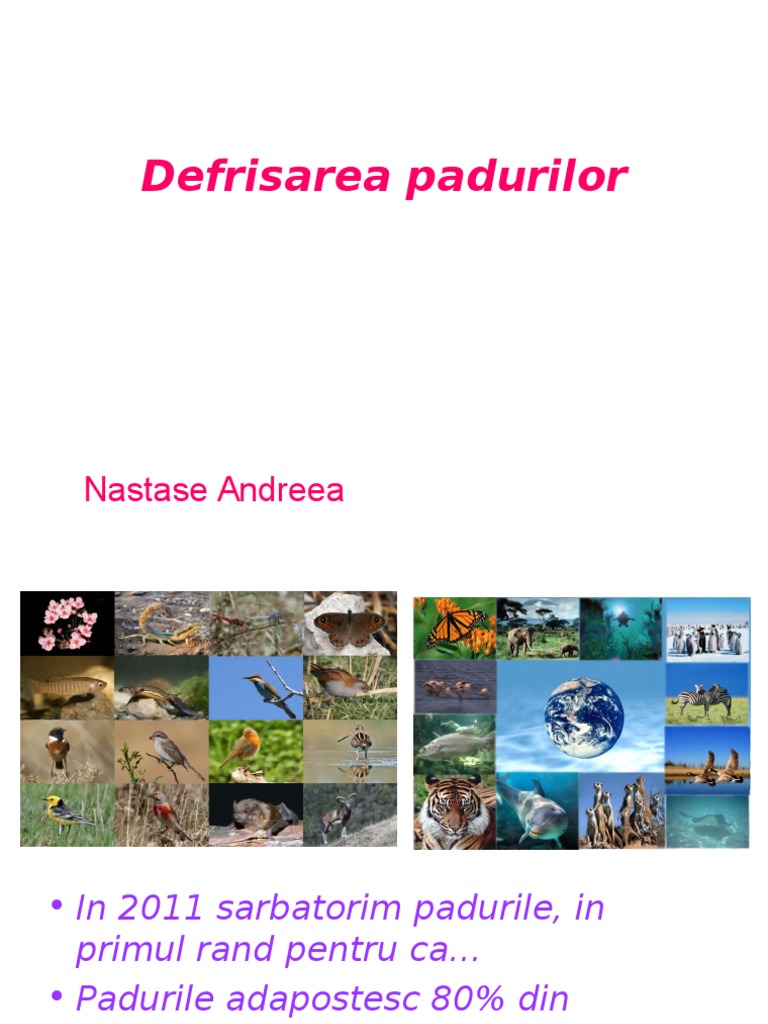 Defrisarea Padurilor | PDF