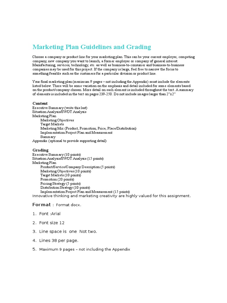 Marketing Plan Guidelines and Grading: Content | PDF