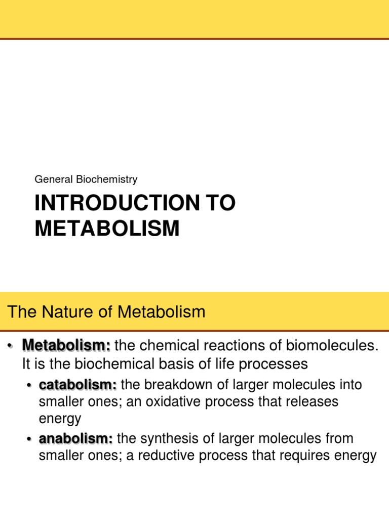 Introduction To Metabolism | Download Free PDF | Redox | Nicotinamide ...