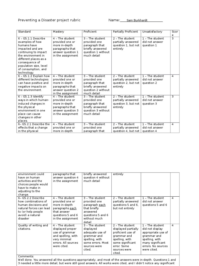 Project Rubric High | PDF | Cognition | Business