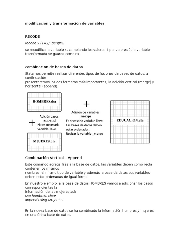 Mini Tutorial Stata | PDF | Variable (informática) | Bases de datos