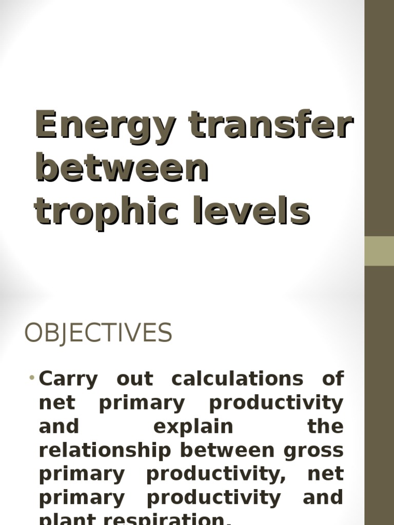 Energy Transfer in Trophic Levels | PDF | Wellness | Science & Mathematics