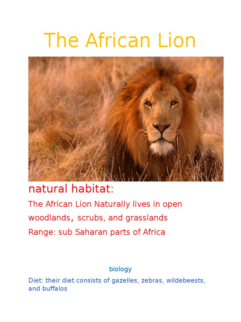The African Lion | PDF