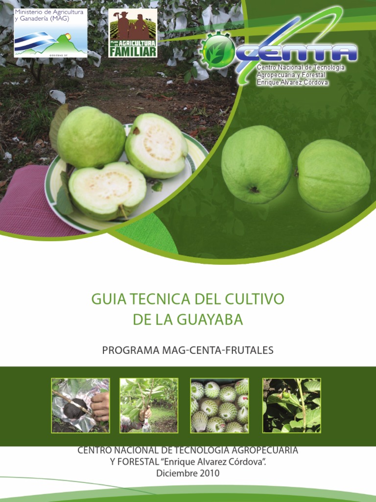 Guia Cultivo Guayaba | PDF | Fertilizante | Calcio