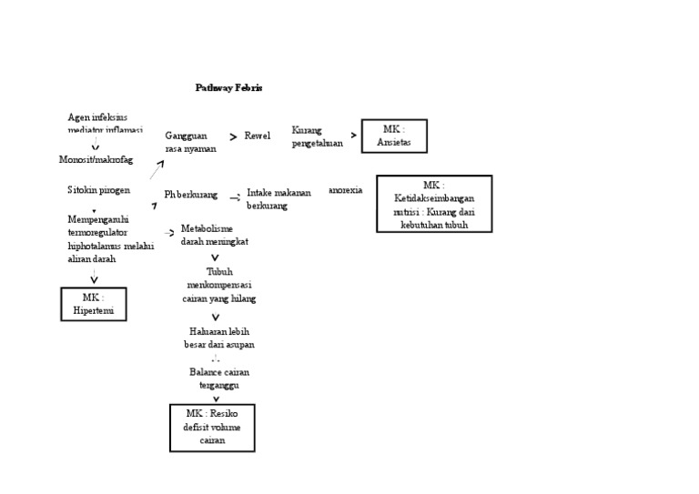 Pathway Febris | PDF