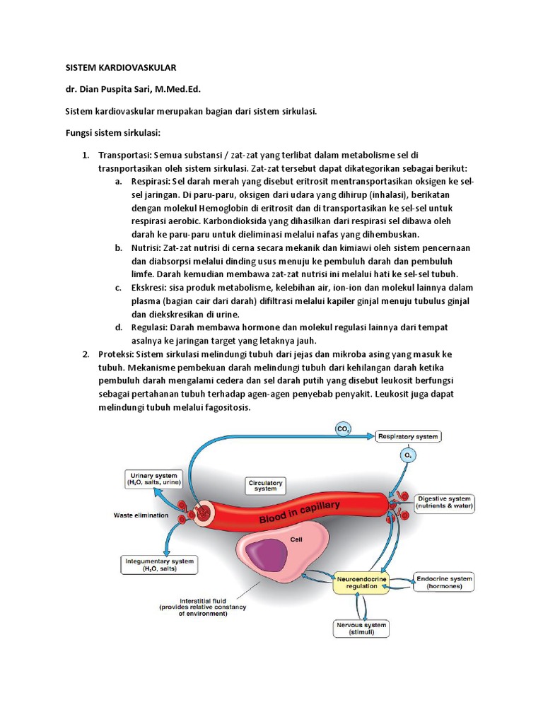 Anatomi Fisiologi Sistem Kardiovaskuler