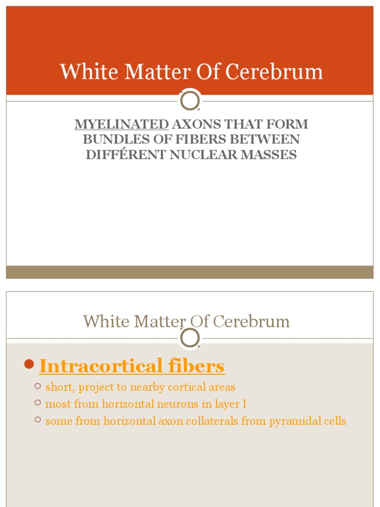 White Matter | Cerebral Cortex | Cerebrum | Free 30-day Trial | Scribd