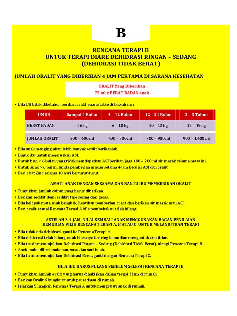 Rencana Terapi B Dehidrasi Anak | PDF