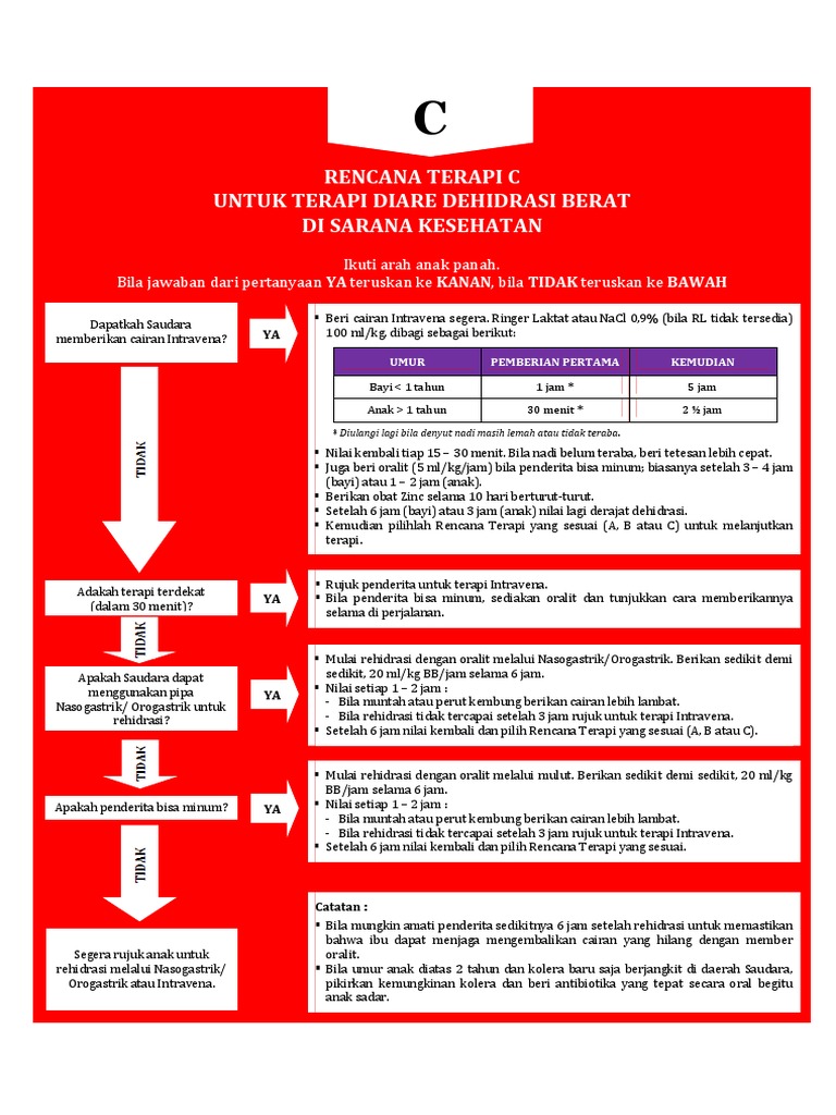 Rencana Terapi C Dehidrasi Berat Anak | PDF
