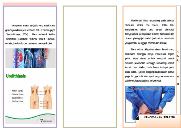 Leaflet Urolithiasis | PDF