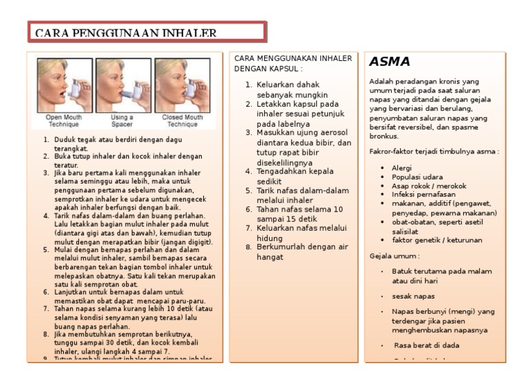 Panduan Penggunaan Inhaler Asma | PDF