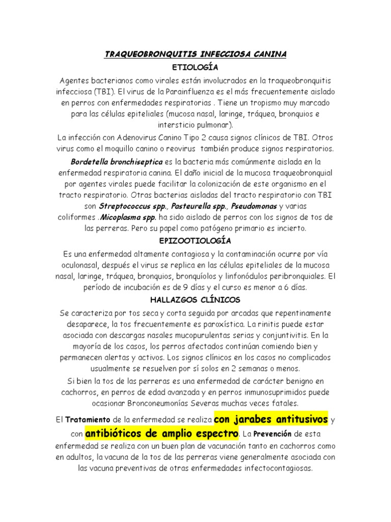 Traqueobronquitis Infecciosa Canina 2 | PDF | Tos | Heces