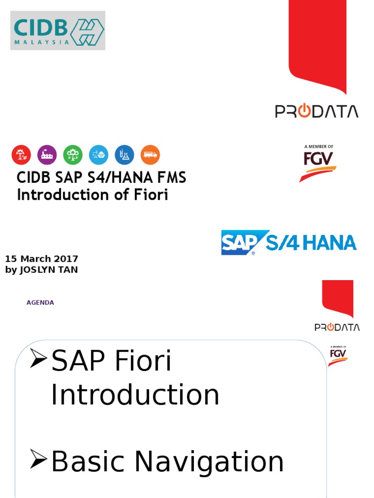 SAP S4 HANA SAP & Fiori Navigation Guide v11032017 v2 | PDF