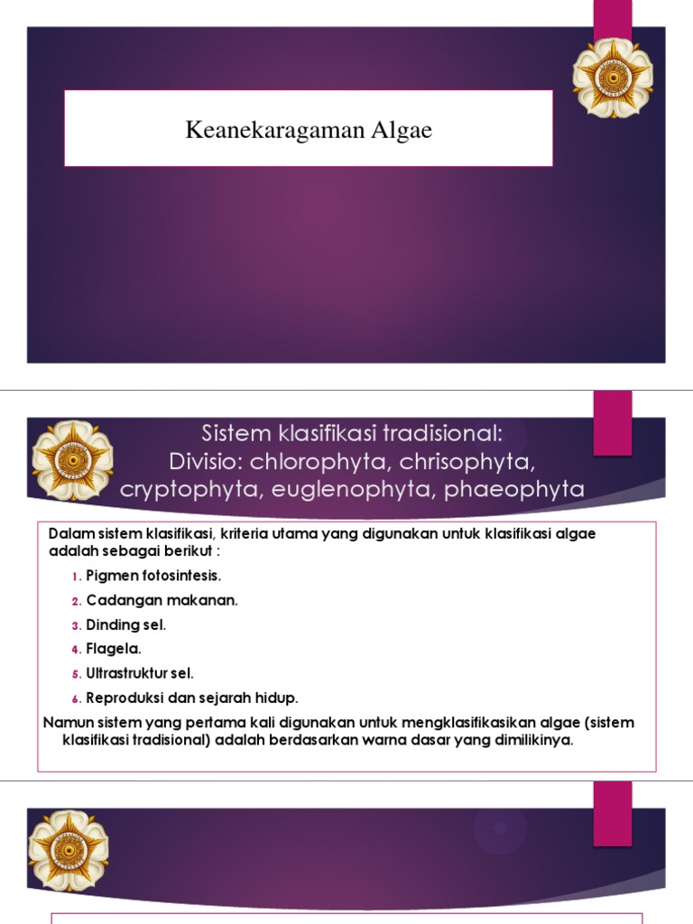 Klasifikasi dan Jenis Algae Terlengkap | PDF