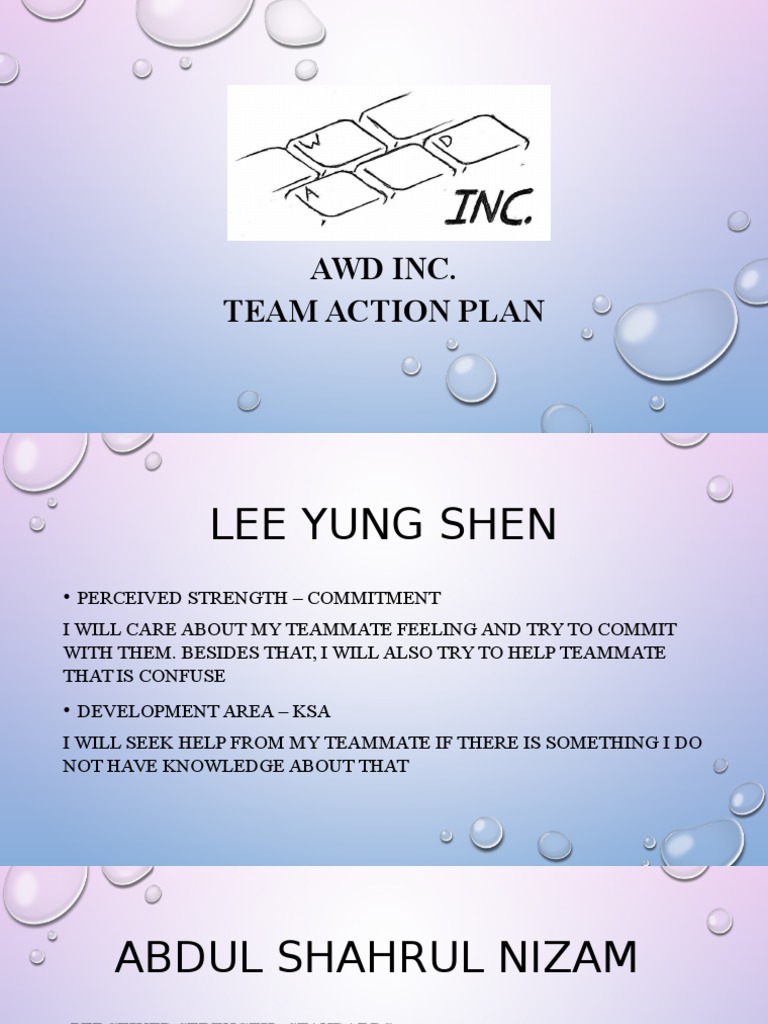 Team Action Plan | PDF