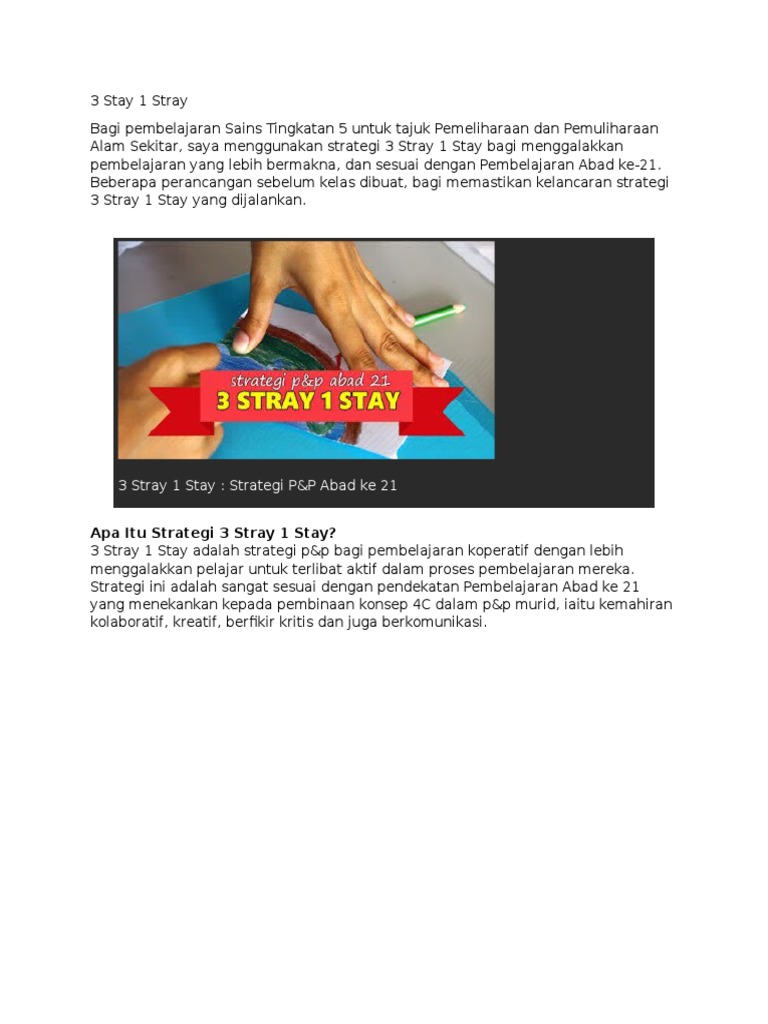 3 Stay 1 Stray | PDF