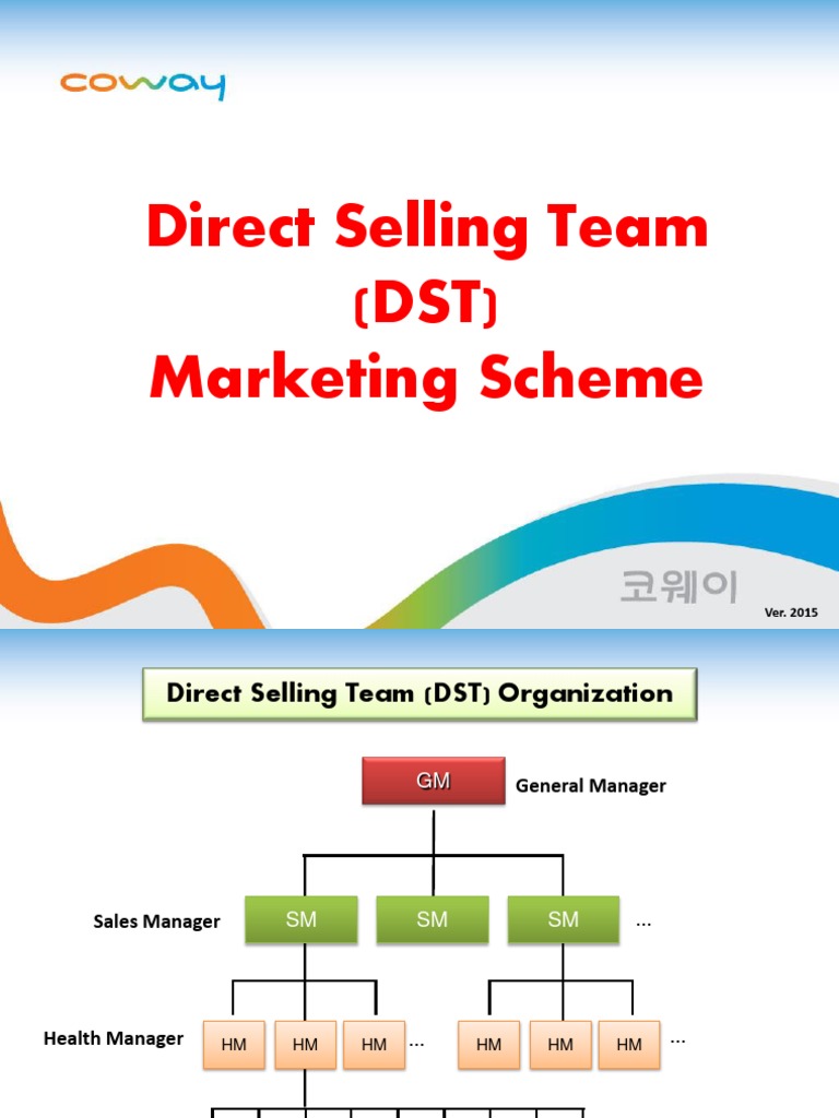 2015 DST Marketing Scheme | PDF | Incentive | Prices