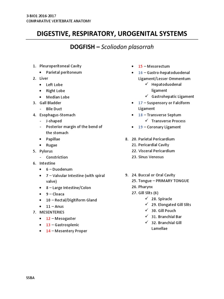Dru List | PDF | Digestive System | Gastroenterology