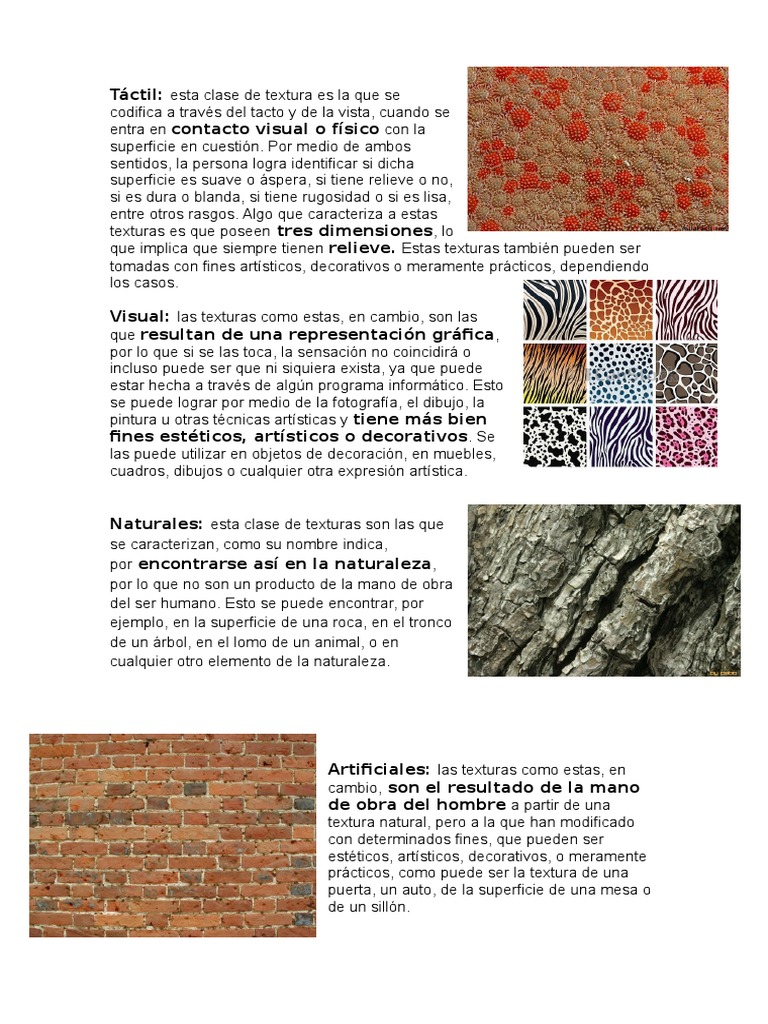 Tipos de Textura | PDF | Dibujo | Naturaleza