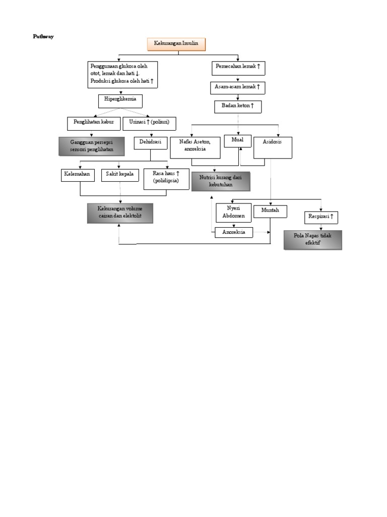 Pathway Ketoasidosis Diabetikum Sandra | PDF | Kesehatan Holistik