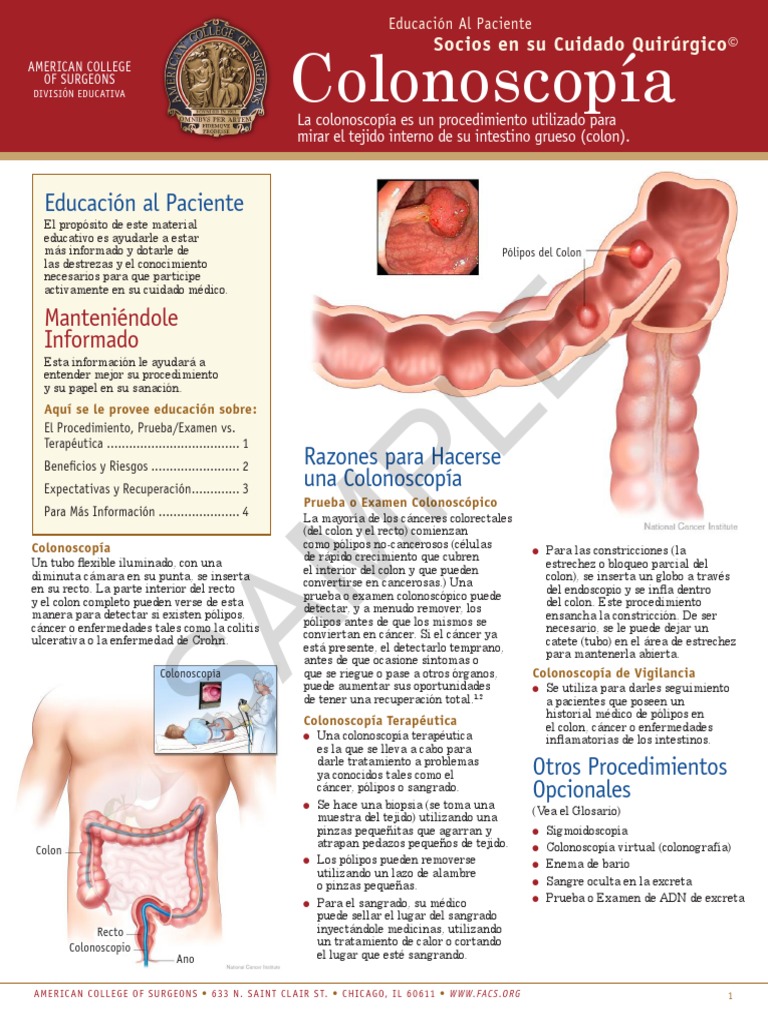 colonoscopia.pdf | Cáncer colonrectal | Colonoscopia | Prueba gratuita ...