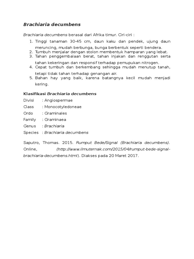 Jenis Legum Dan Rumput | PDF