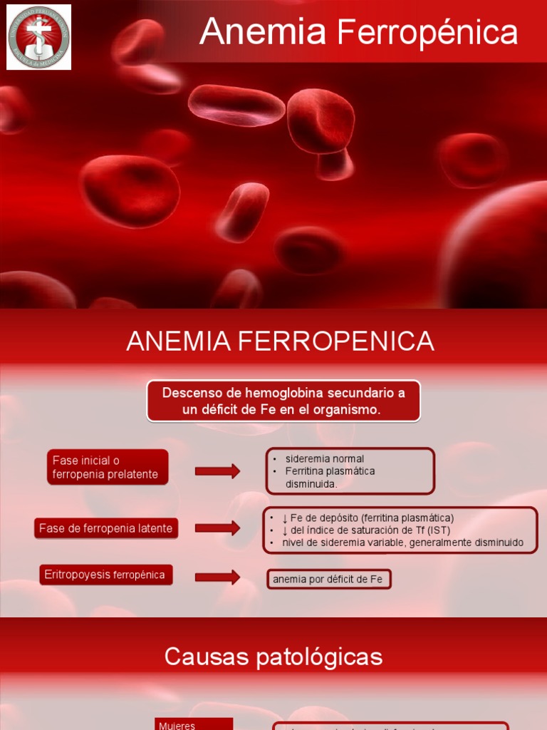 Anemia ferropénica: descripción de la fisiopatología, causas y ...