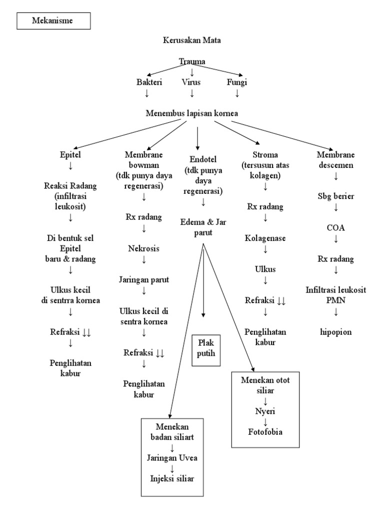 Mekanisme Kerusakan Mata | PDF