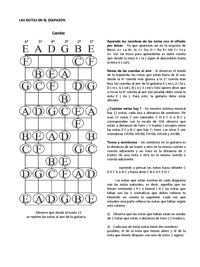 Notas en El Diapasón ( Guitarra ) | Guitarras | Pitch (Música)