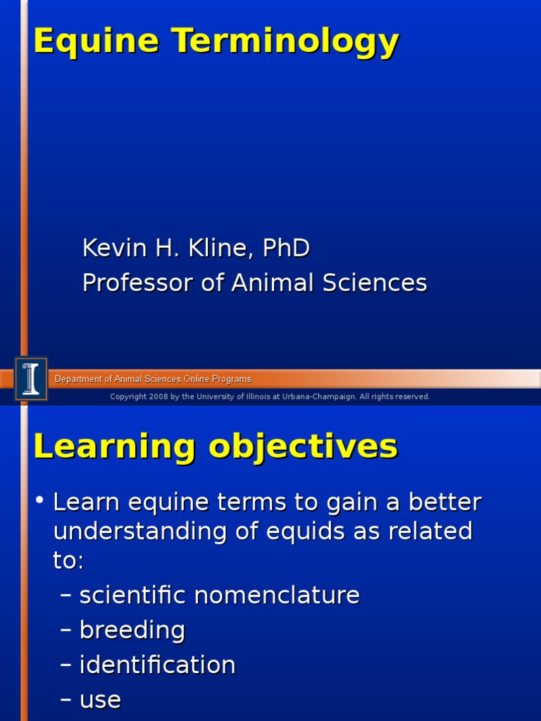 Equine Terminology | PDF | Equus (Genus) | Donkey